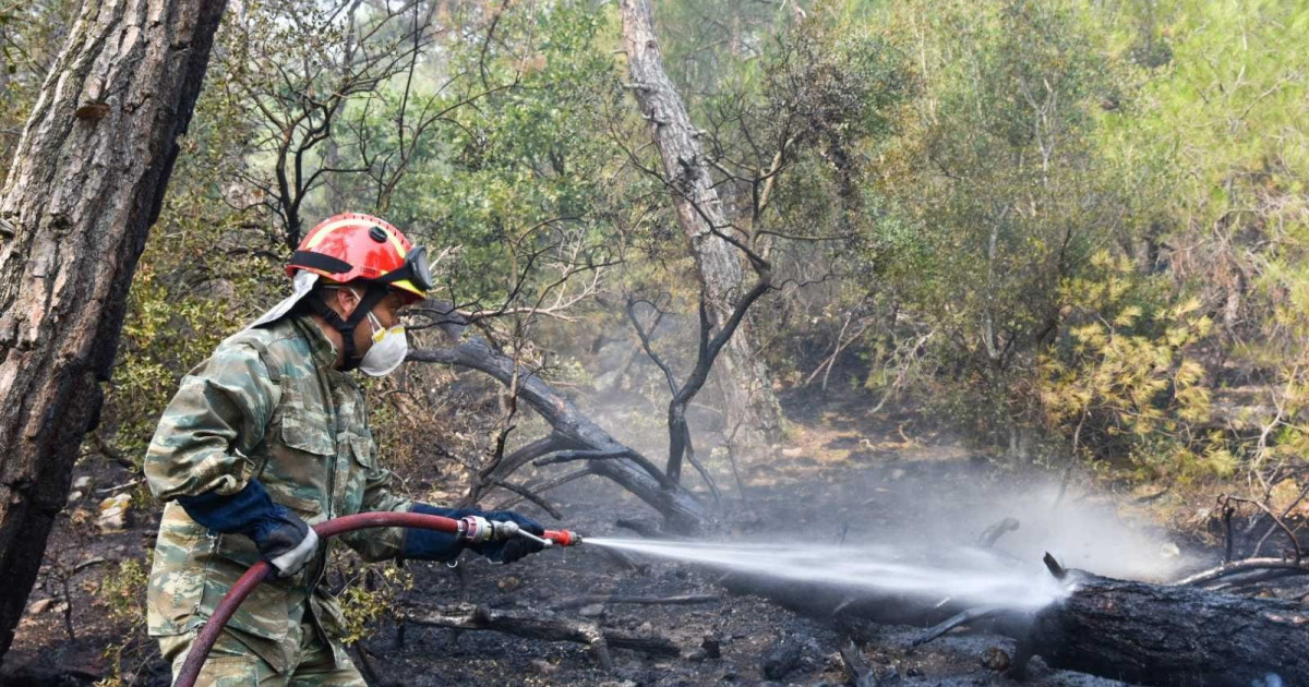 Απειλεί και το χωριό η φωτιά στο δάσος της Δαδιάς στον Εβρο (βίντεο - φωτ.)