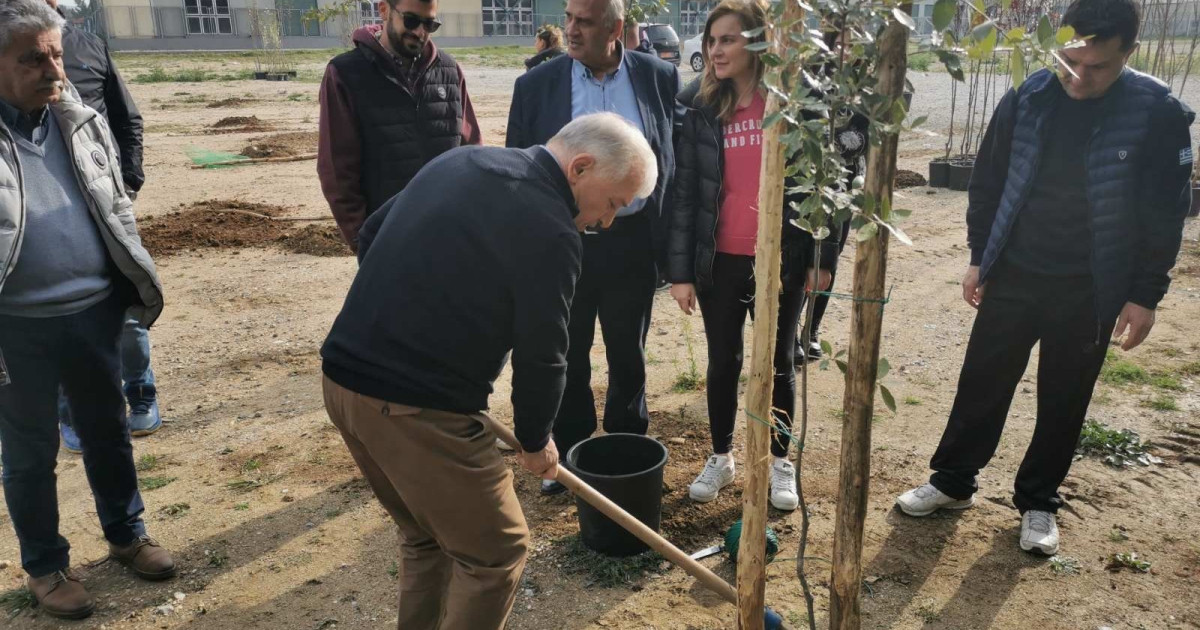 Δήμος Αμπελοκήπων-Μενεμένης: 97 δέντρα φυτεύθηκαν στο στρατόπεδο «Μέγας ...